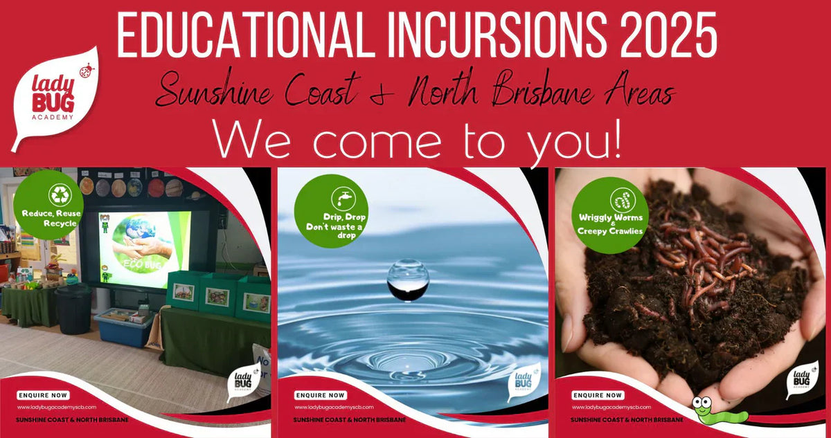 What ages are incursions suitable for? — Teach Fun Oz