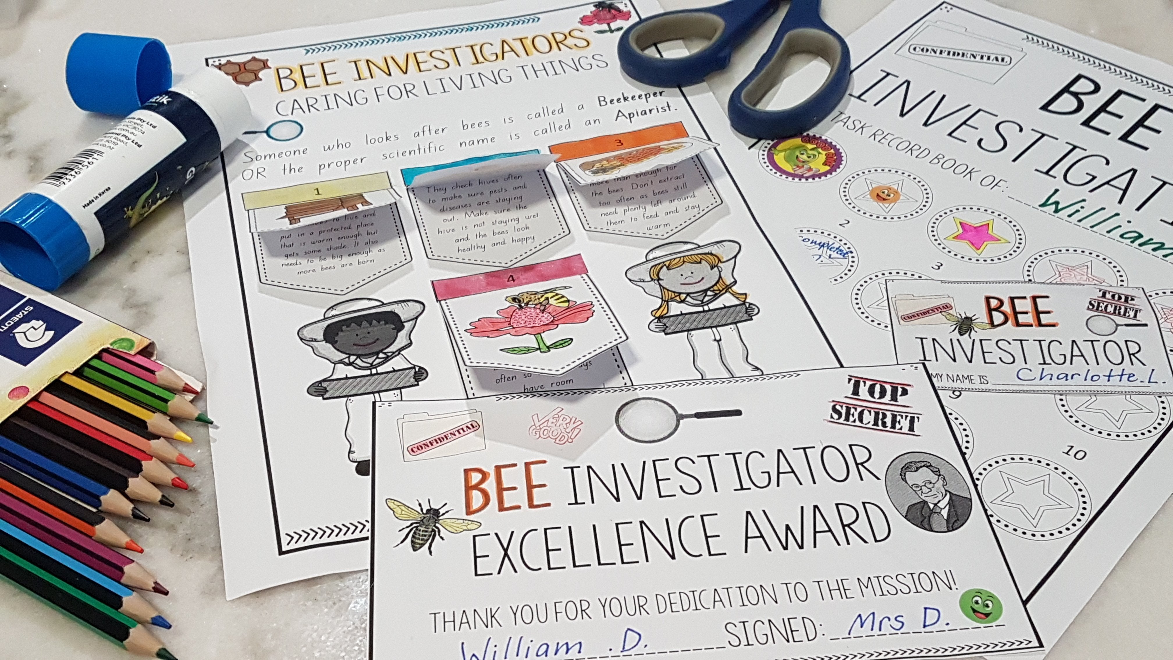 BEES UNIT Bee Life Cycle Invertebrates Vertebrates Living Science Year ...