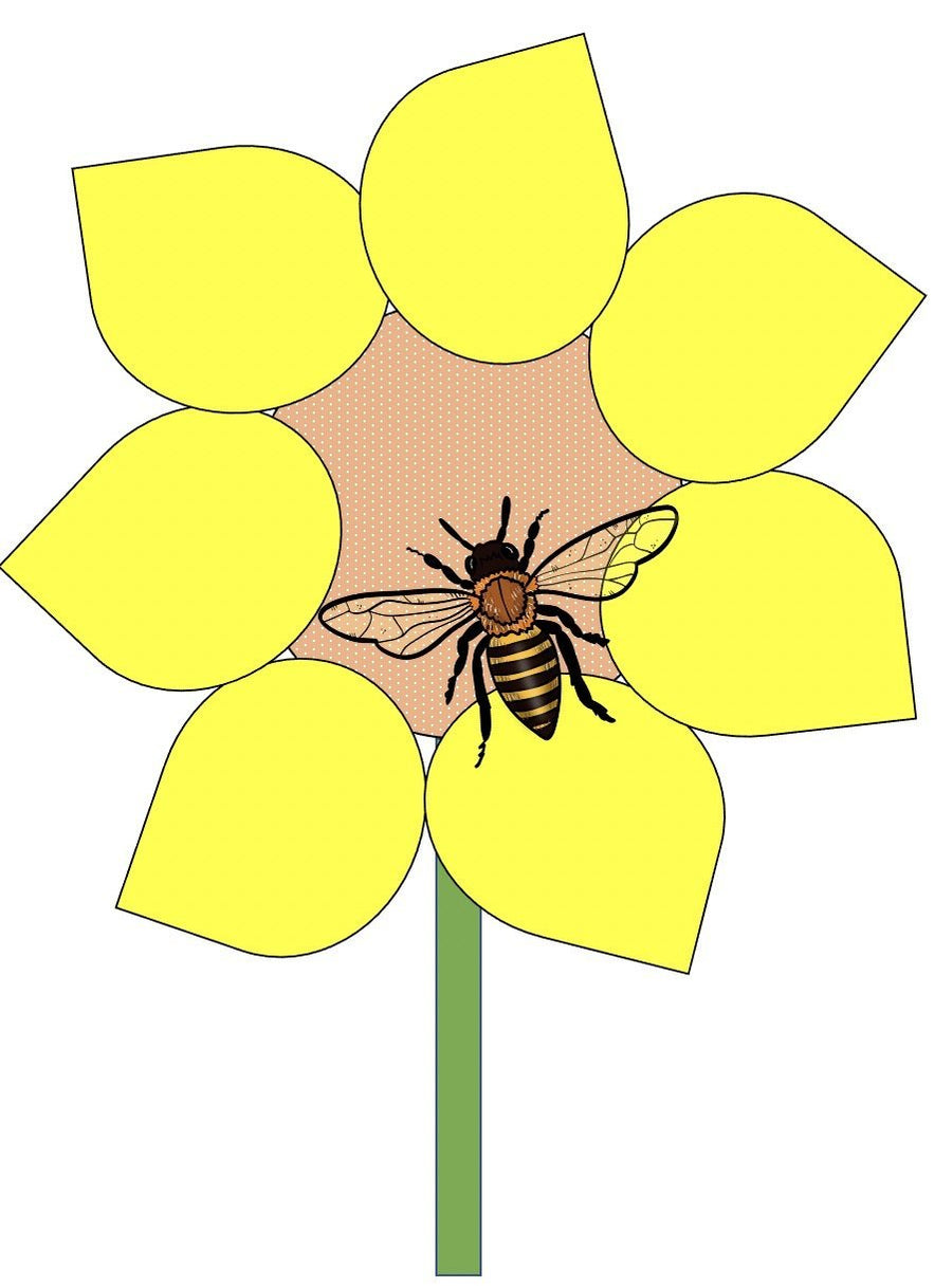 BEES UNIT Bee Life Cycle Invertebrates Vertebrates Living Science Year ...