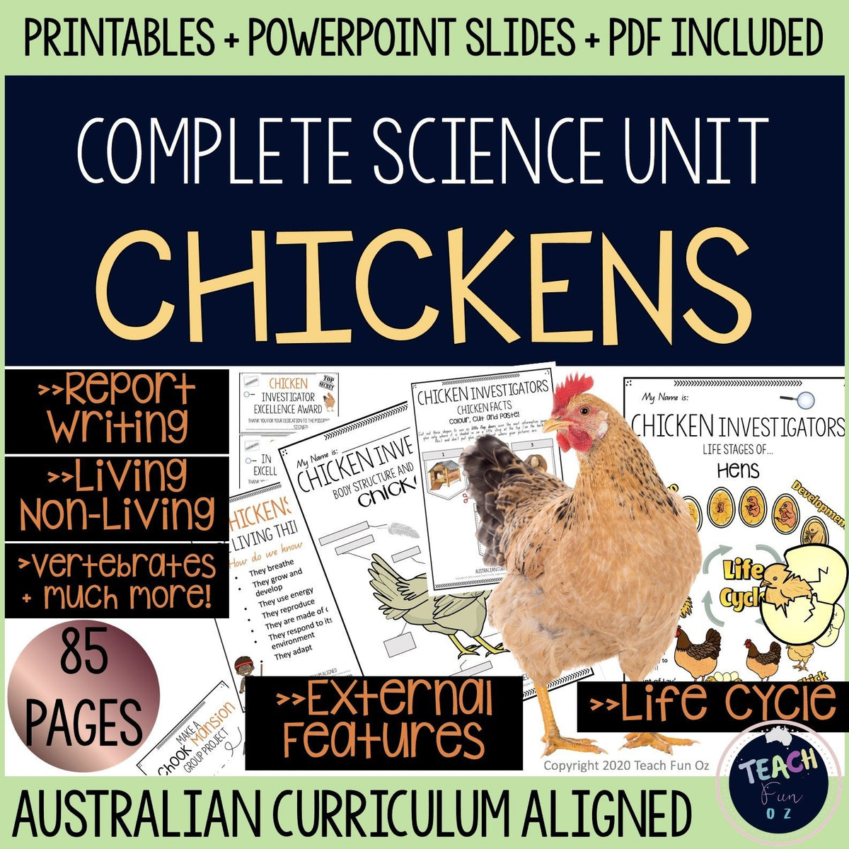 CHICKENS UNIT Life Cycle Reports Vertebrates Living Chicken Year 1 2 3 ...