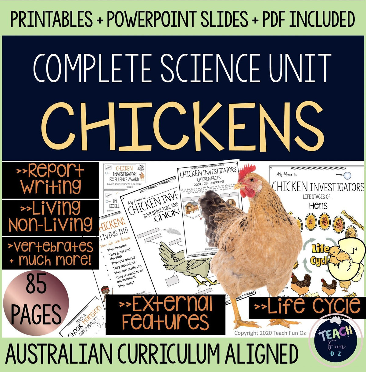 CHICKENS UNIT Life Cycle Reports Vertebrates Living Chicken Year 1 2 3 ...