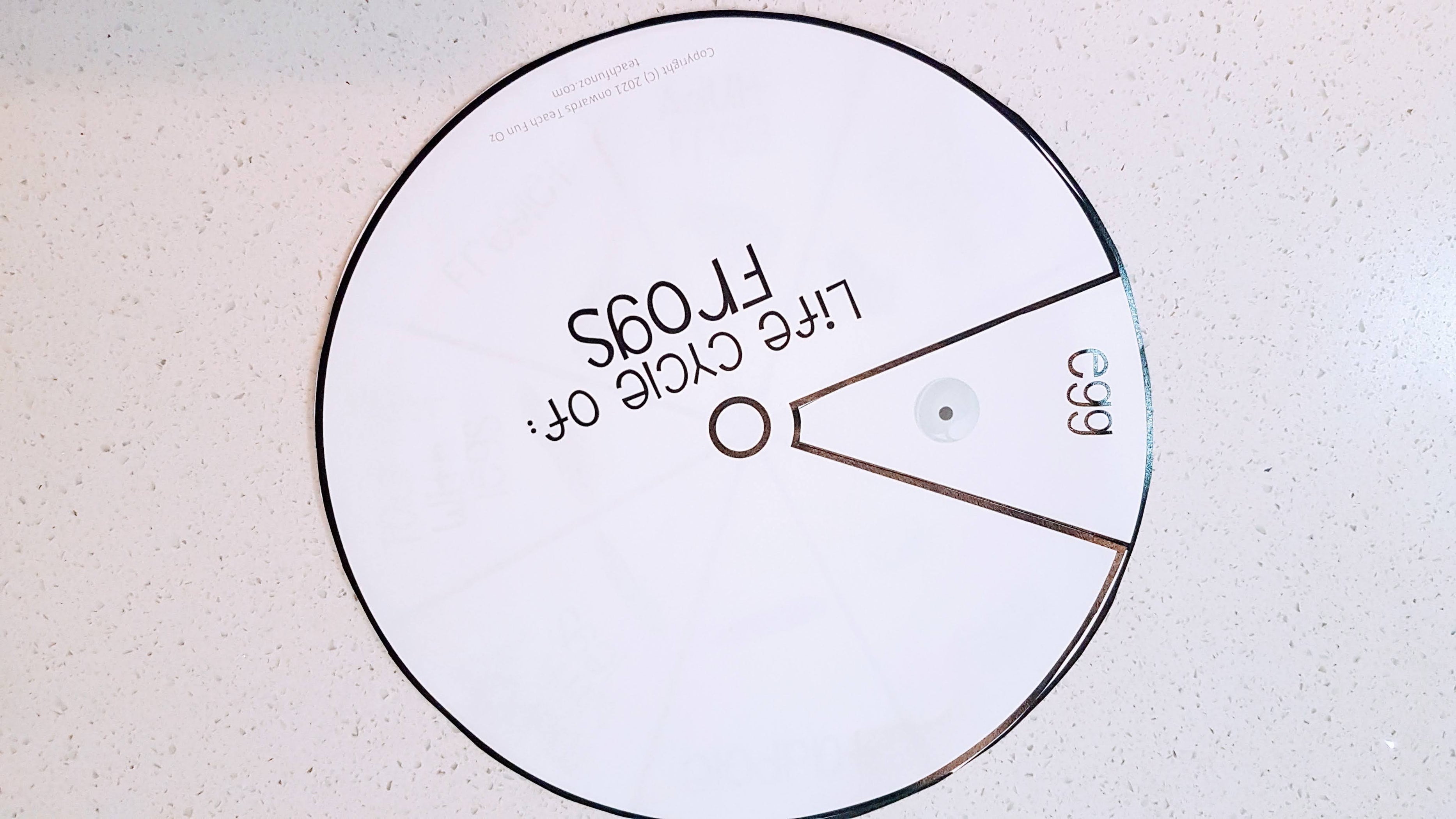 Frog Life Cycle Spinner Flash Cards Charts Science Prep Year 1 2 3 4 ...