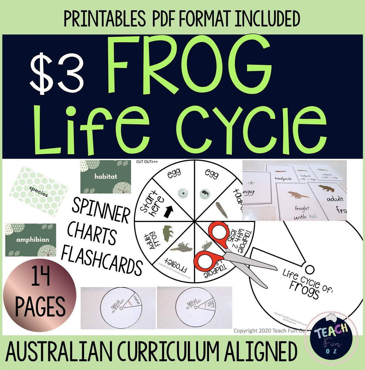 Frog Life Cycle Spinner Flash Cards Charts Science Prep Year 1 2 3 4 ...