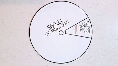 Frog Life Cycle Spinner Flash Cards Charts Science Prep Year 1 2 3 4 ...