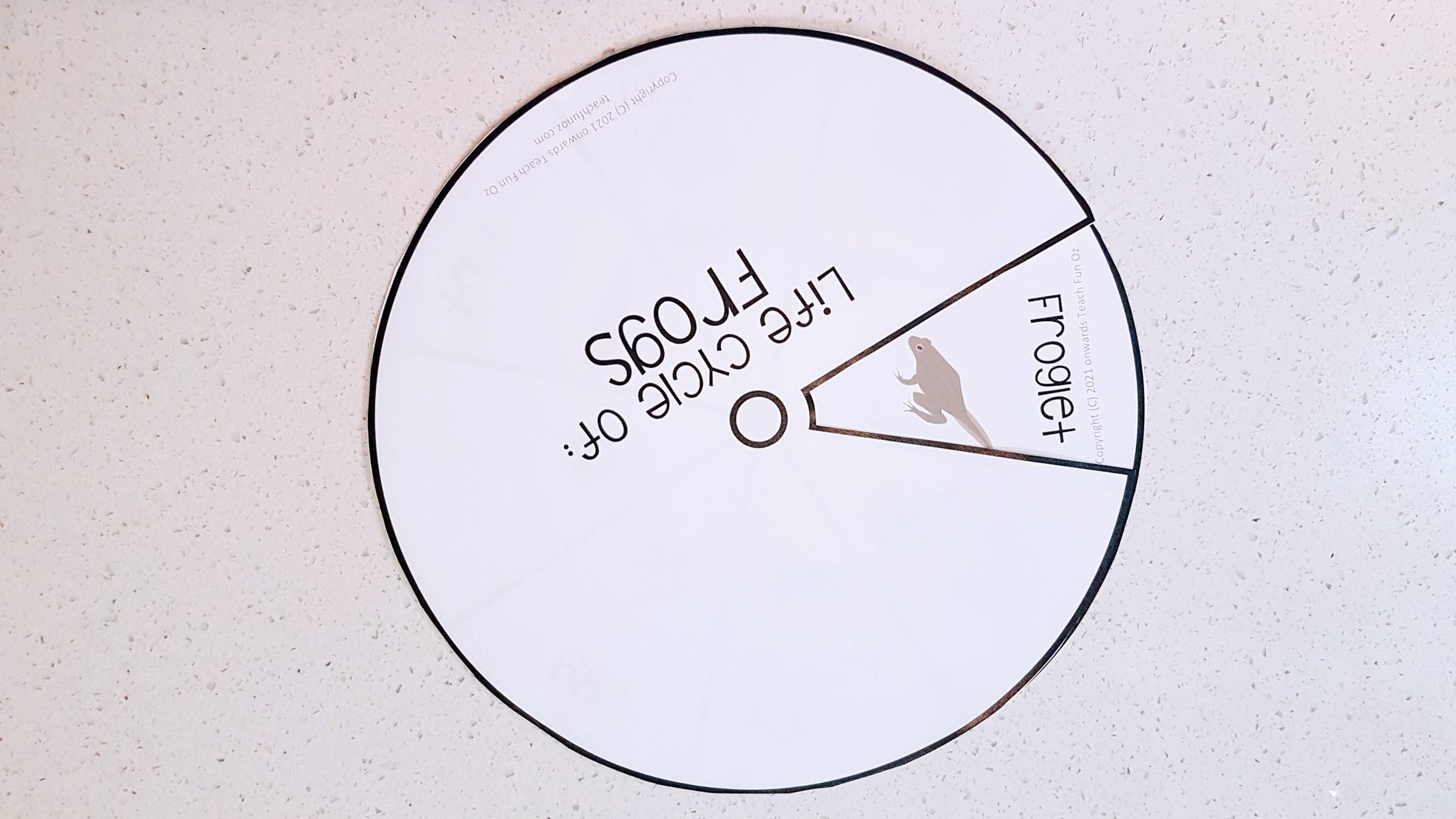 Frog Life Cycle Spinner Flash Cards Charts Science Prep Year 1 2 3 4 ...