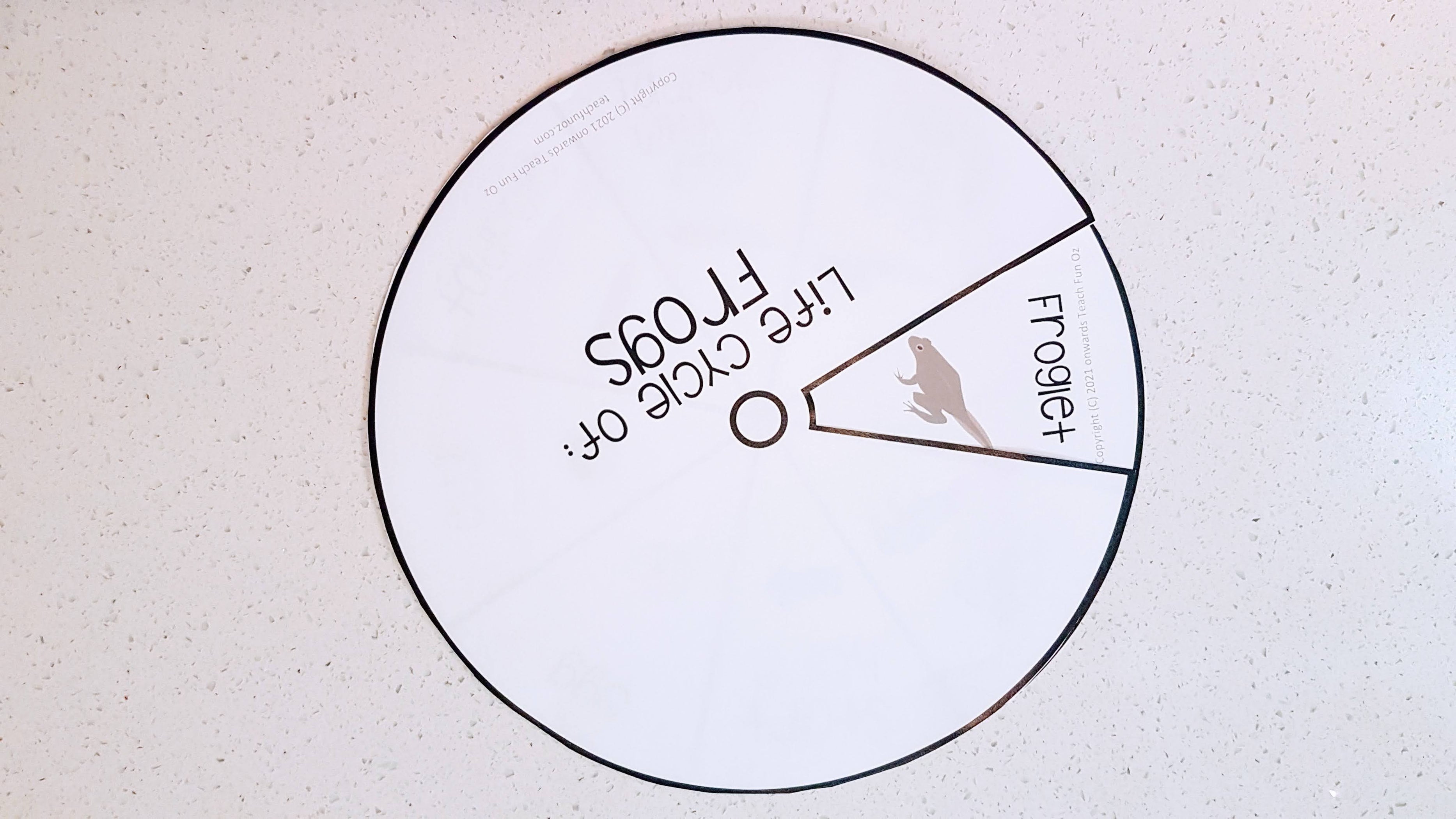 Frog Life Cycle Spinner Flash Cards Charts Science Prep Year 1 2 3 4 ...