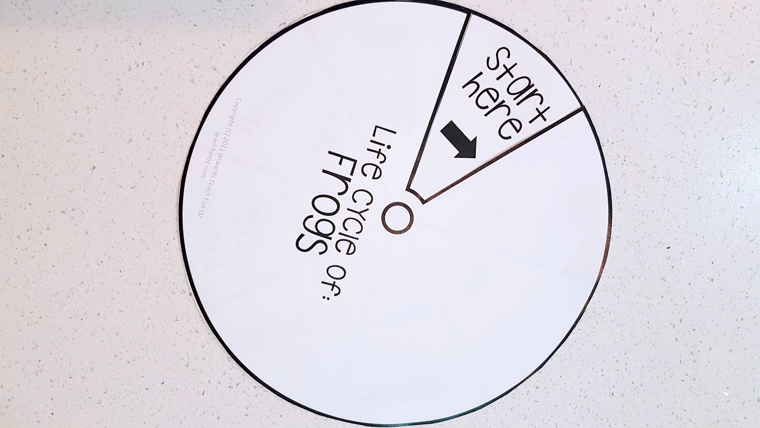 Frog Life Cycle Spinner Flash Cards Charts Science Prep Year 1 2 3 4 ...