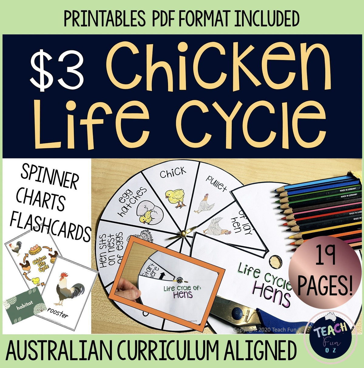 Life Cycle of a Chicken Chickens Spinner Flash Cards Charts Science li ...